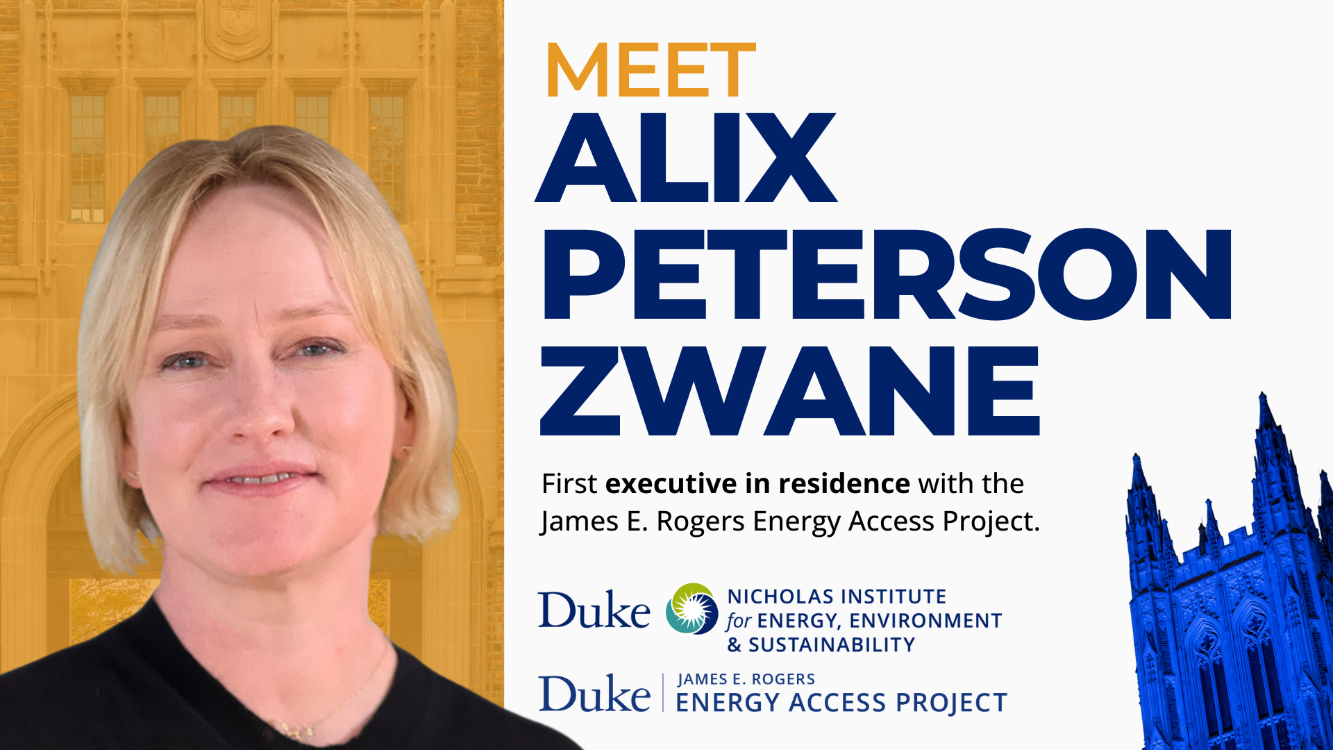 Accelerating Low-Carbon Development: Meet Alix Peterson Zwane | The ...